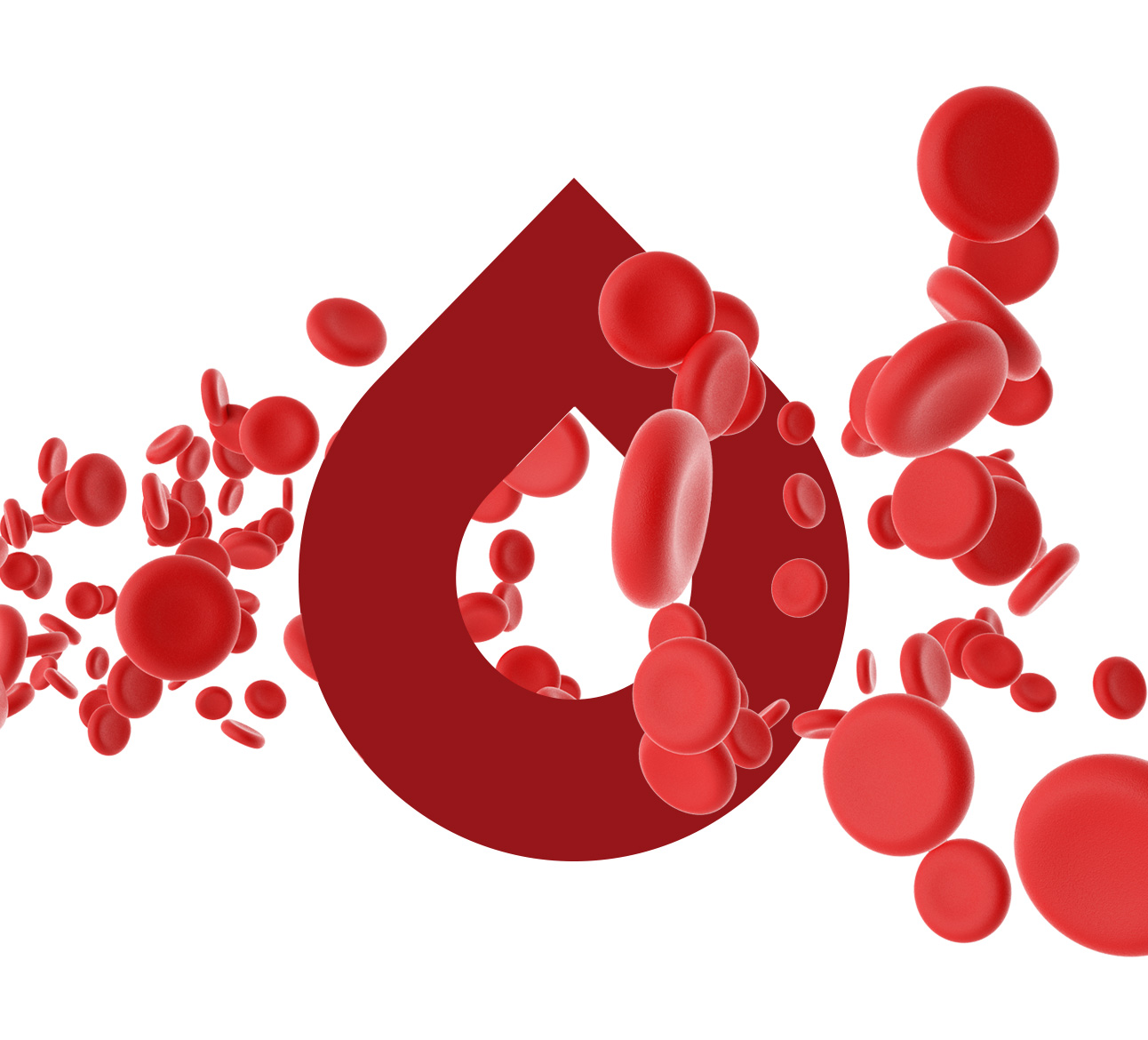 Microbio | Smith Brothers Media