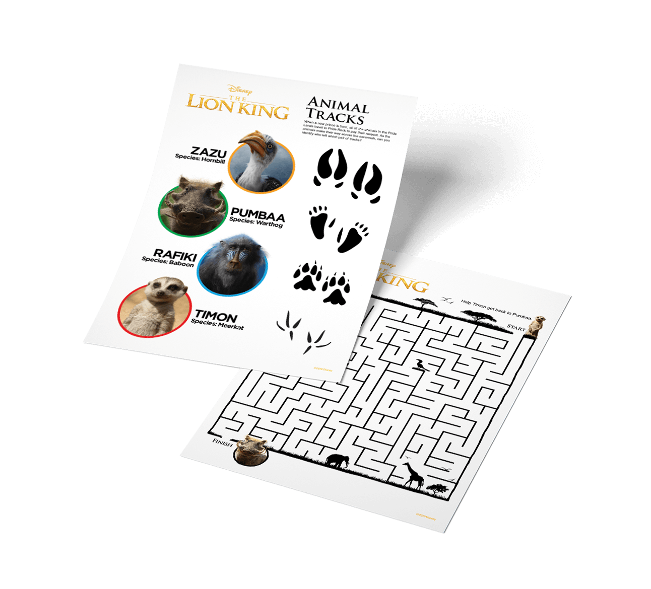 The Lion King | Smith Brothers Media